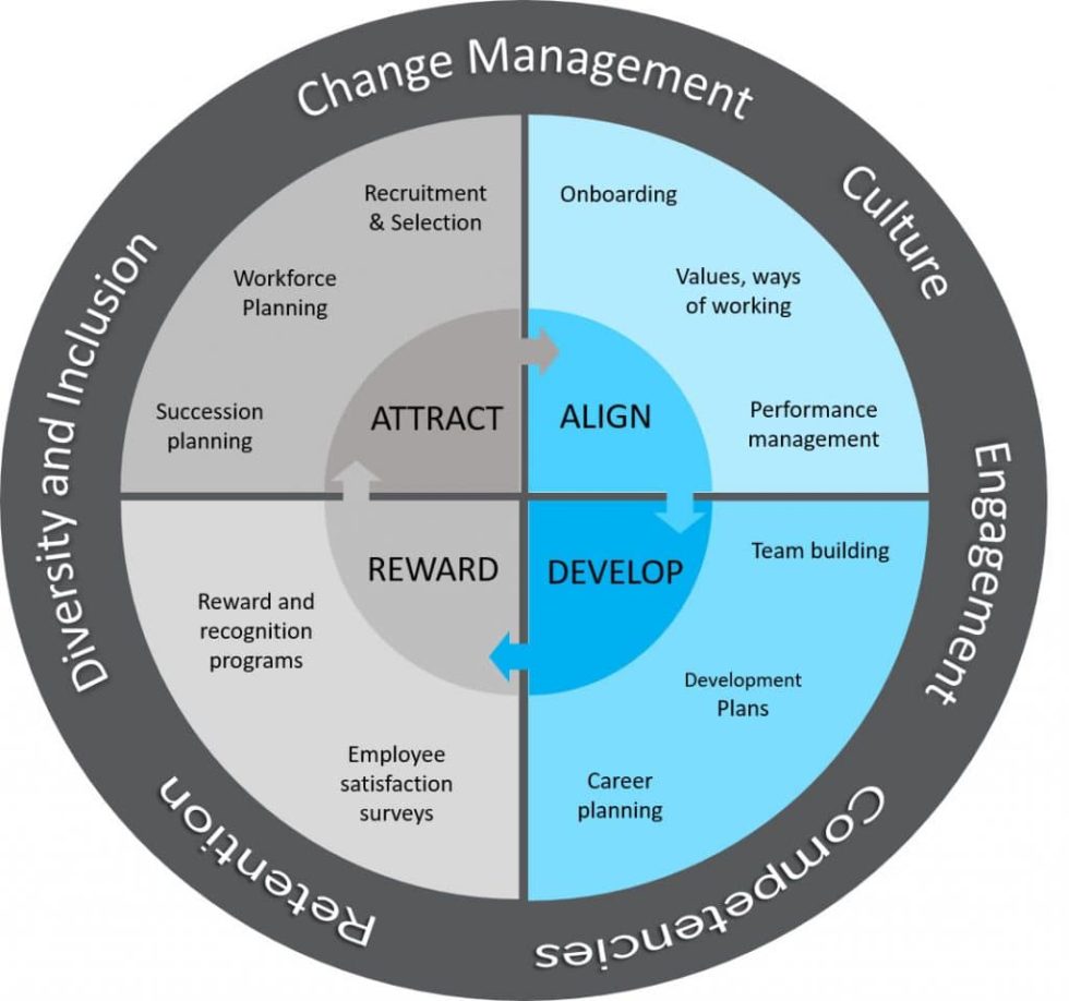 Workforce & Consulting | Sparkview